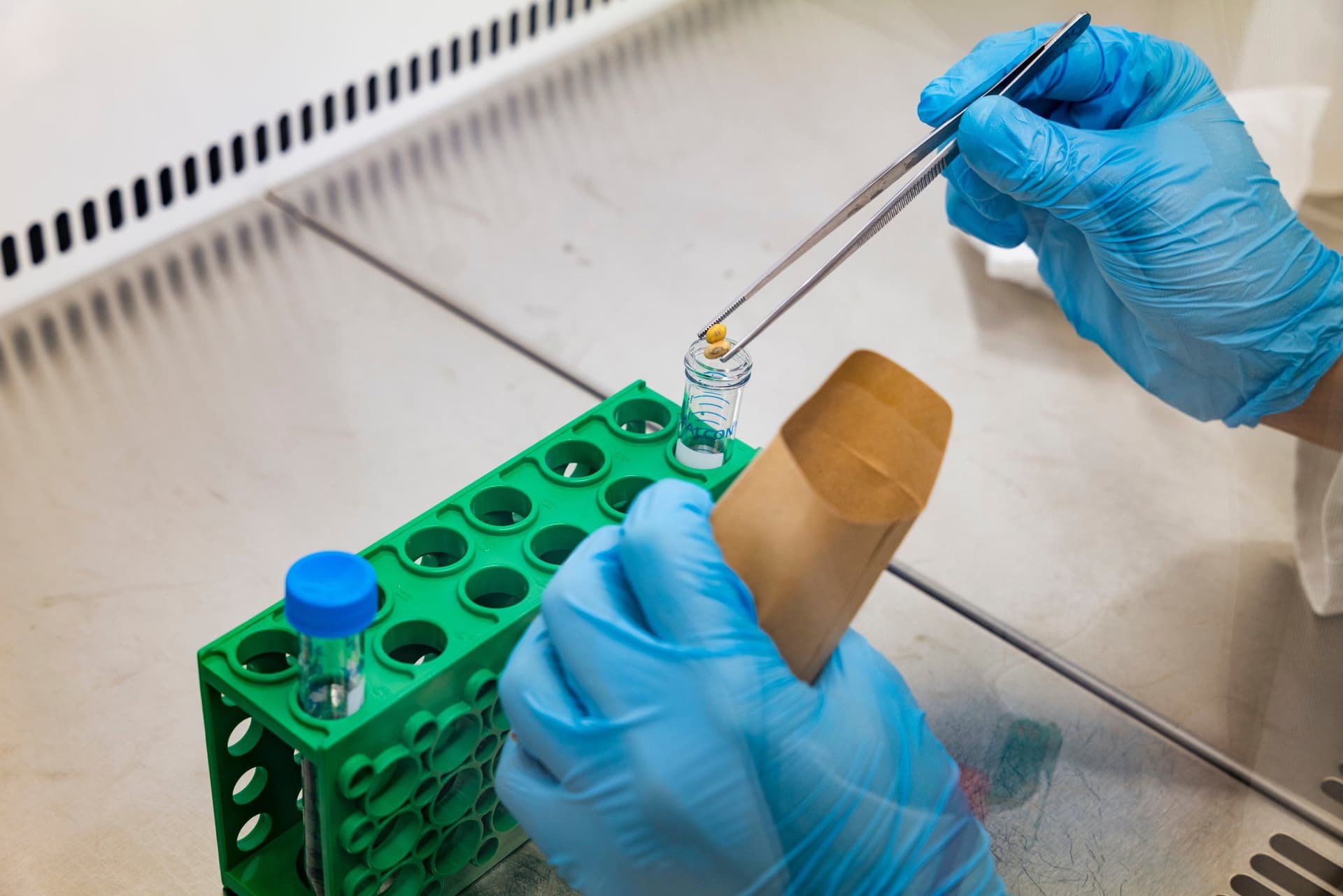 Protealis Research: Breeding & Seed Coating Innovations